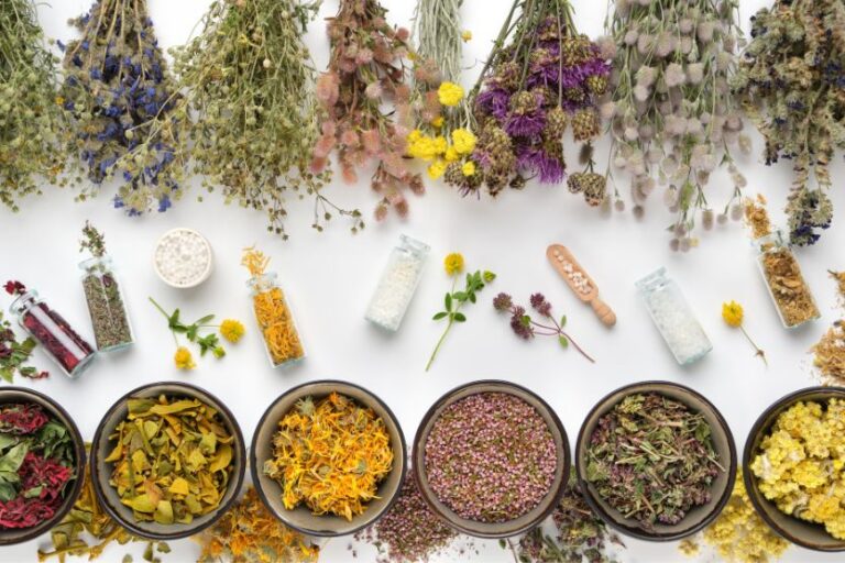 Ghid complet pentru cultivarea plantelor medicinale - Adauga.NET